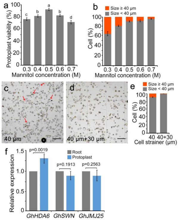 Establishment of an efficient cotton root protoplast isolation protocol suitable for single-cell ...