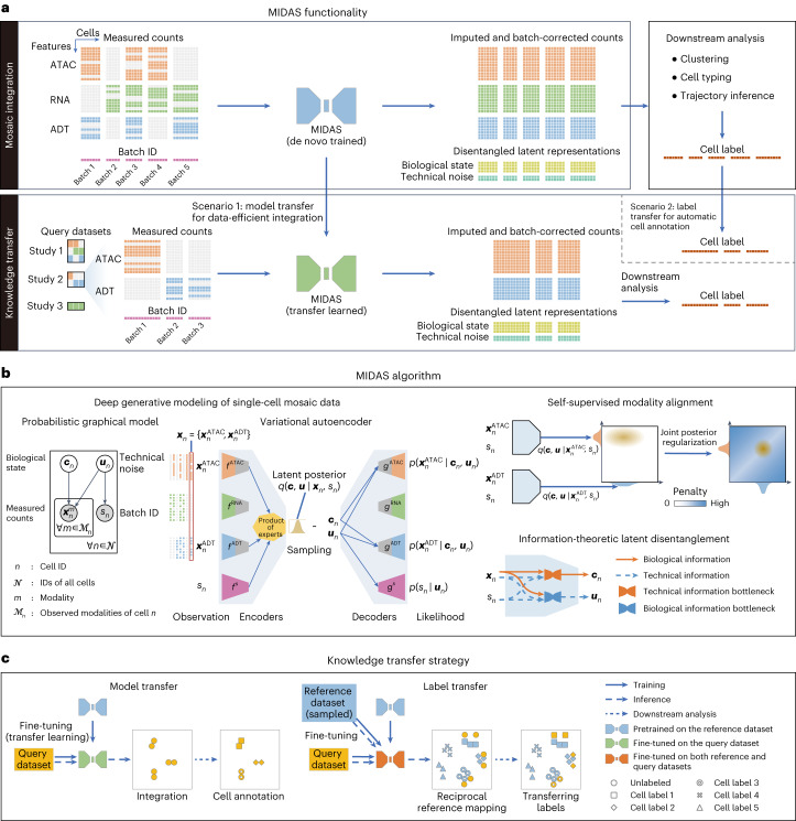 Mosaic integration and knowledge transfer of single-cell multimodal data with MIDAS - PMC