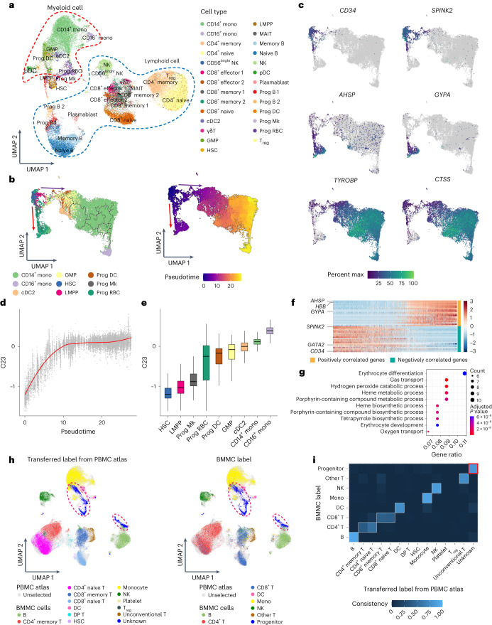Mosaic integration and knowledge transfer of single-cell multimodal ...