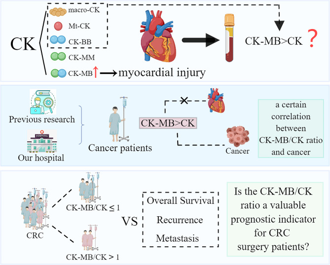 Prognostic value of creatine kinase (CK)-MB to total-CK ratio in colorectal cancer patients ...