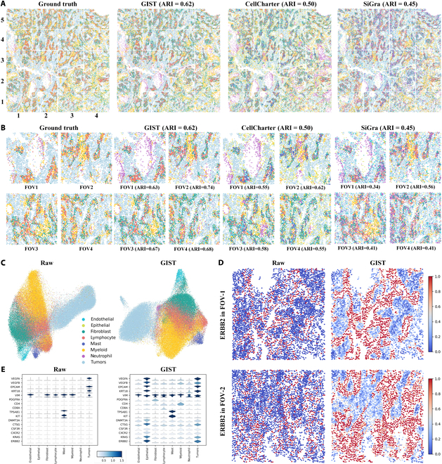 Deep Learning-Enabled Integration of Histology and Transcriptomics for Tissue Spatial Profile ...