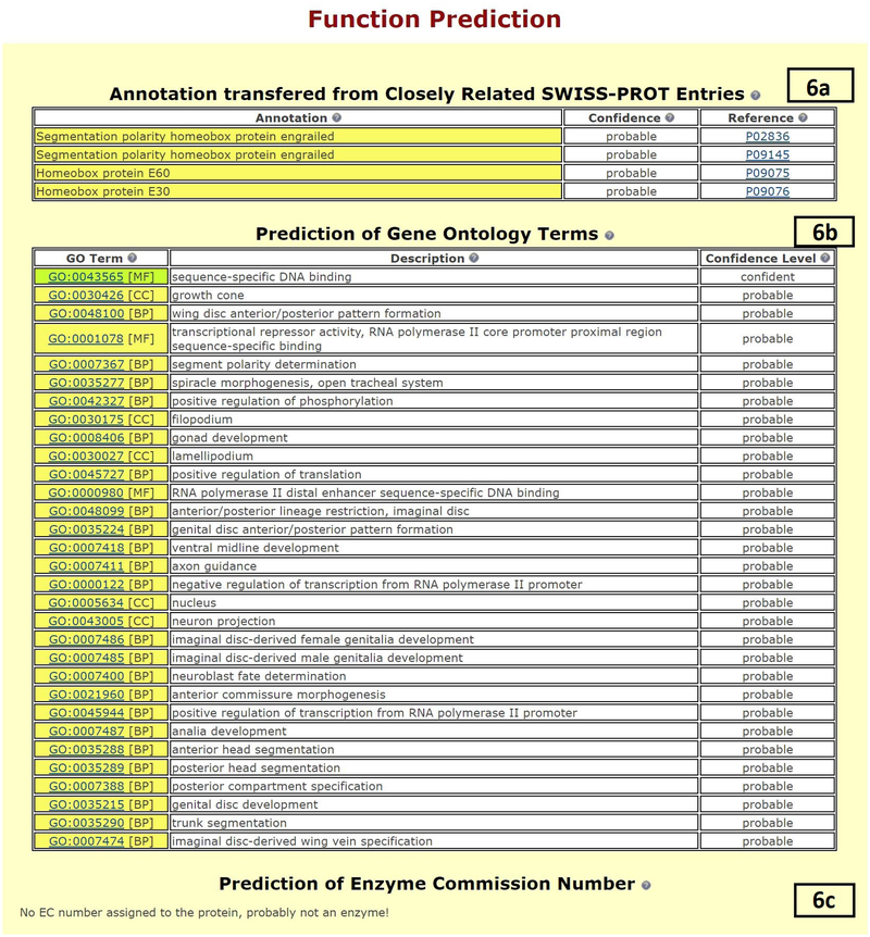 Predicting sequence features, function and structure of proteins using MESSA - PMC