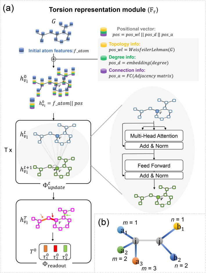Tora3D: an autoregressive torsion angle prediction model for molecular 3D conformation ...