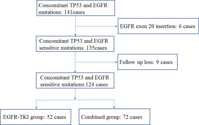 Optimal therapy for concomitant EGFR and TP53 mutated non-small cell lung cancer: a real-world ...