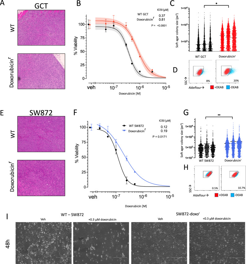 Genetic and epigenetic characterization of sarcoma stem cells across subtypes identifies EZH2 as ...