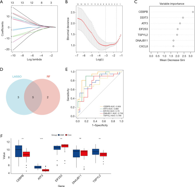 Integrated bioinformatics and machine learning algorithms reveal the unfolded protein response ...