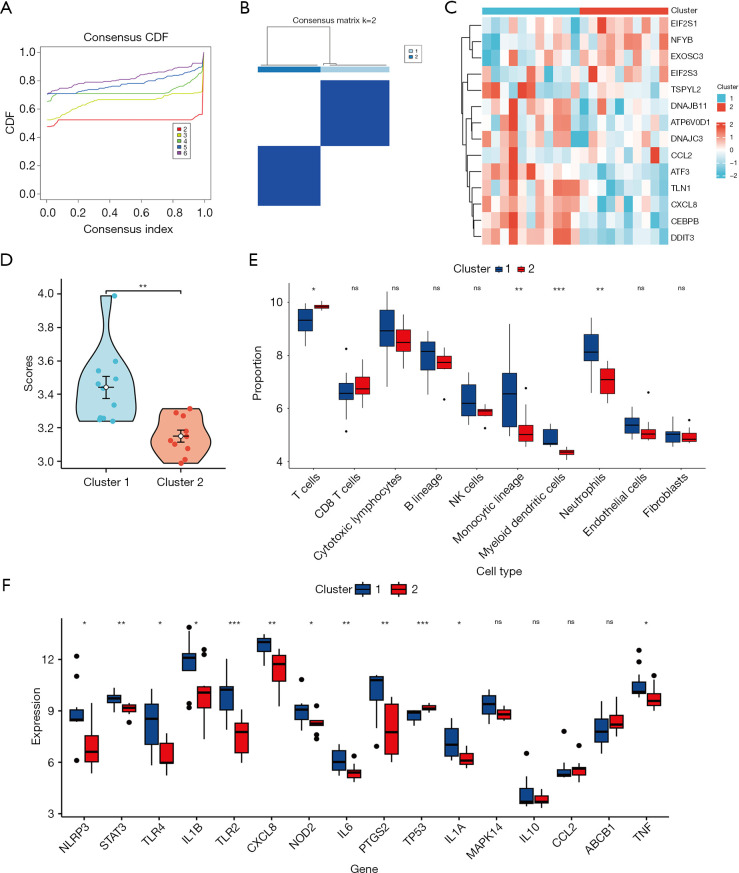 Integrated bioinformatics and machine learning algorithms reveal the unfolded protein response ...