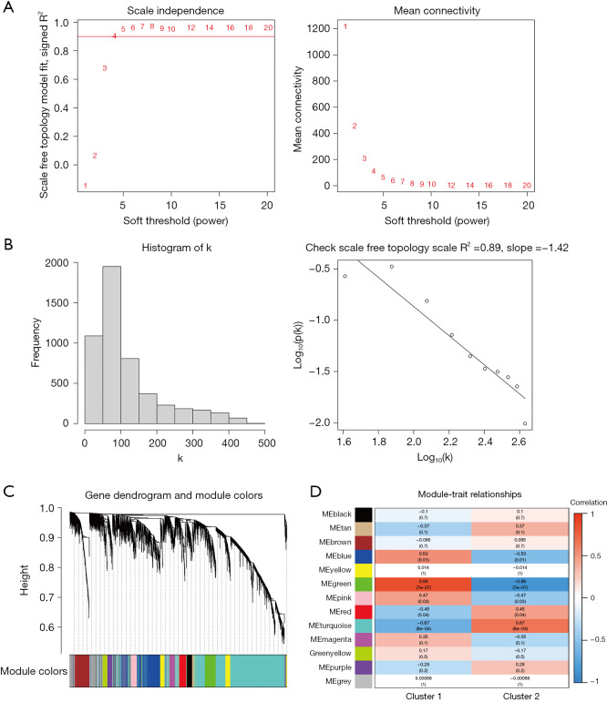 Integrated bioinformatics and machine learning algorithms reveal the unfolded protein response ...
