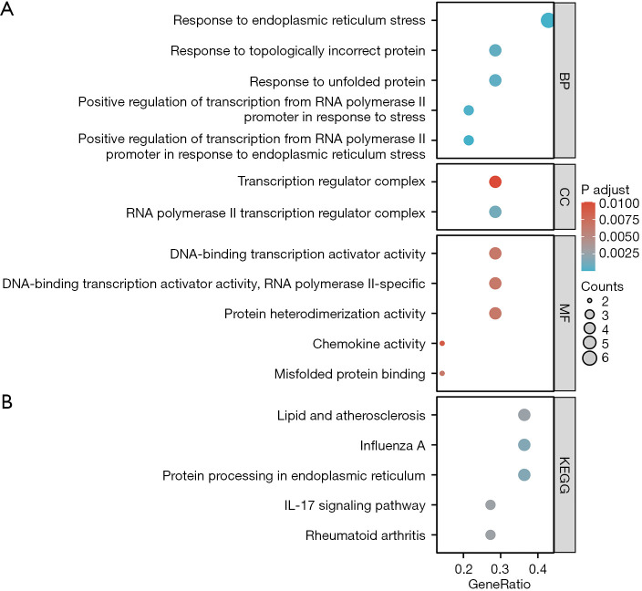 Integrated bioinformatics and machine learning algorithms reveal the unfolded protein response ...