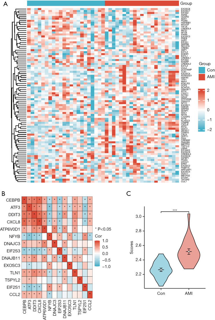 Integrated bioinformatics and machine learning algorithms reveal the unfolded protein response ...