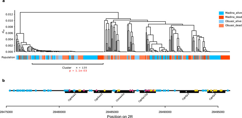 Genome-wide association studies reveal novel loci associated with pyrethroid and organophosphate ...