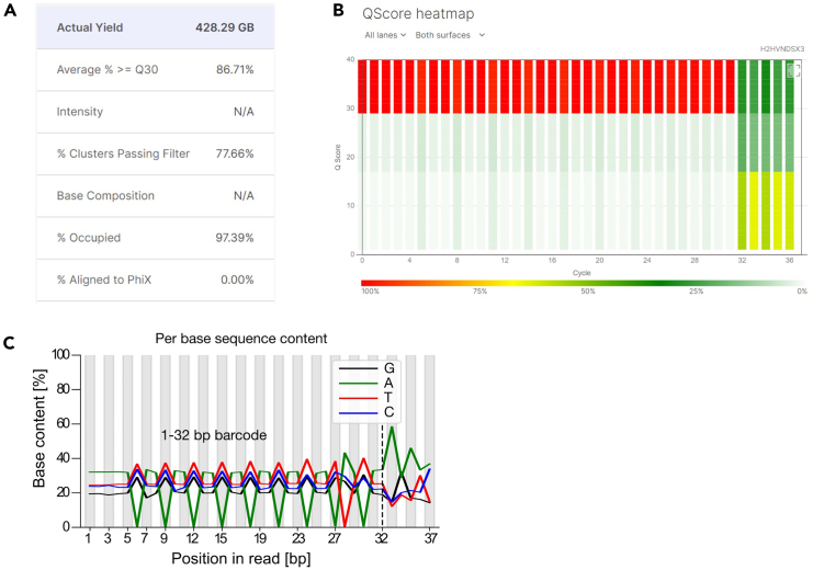 Protocol for high-resolution 3D spatial transcriptomics using Open-ST - PMC