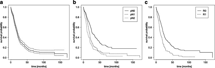 Impact of resection margin status on survival in advanced N stage pancreatic cancer – a multi ...