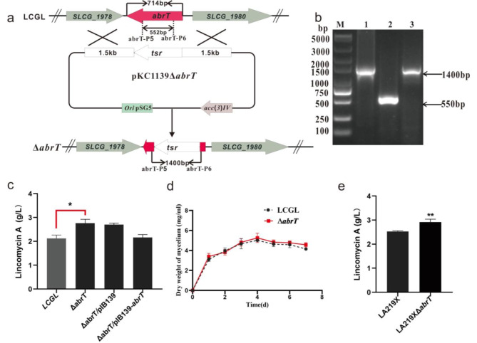 TetR family regulator AbrT controls lincomycin production and morphological development in ...