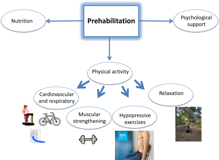 Implementation of a prehabilitation program before abdominal wall surgery: a pilot and ...