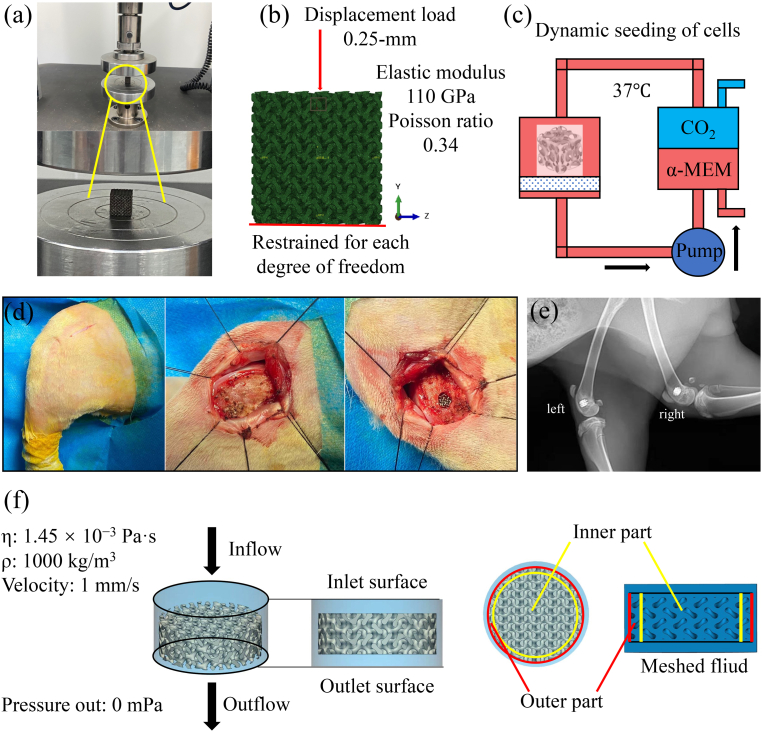 Integrated evaluation of biomechanical and biological properties of the biomimetic structural ...