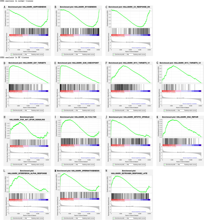 Prognostic significance and identification of m6A regulator genes and hub genes associated with ...