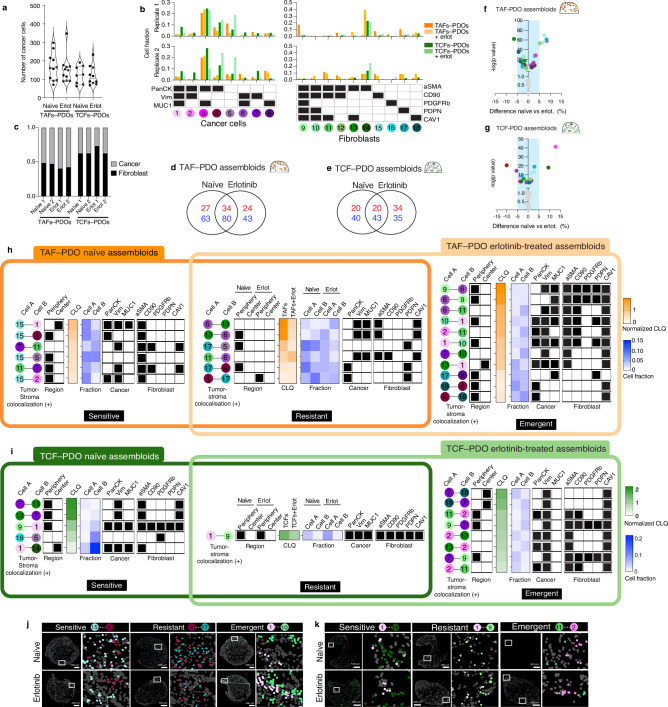 A quantitative spatial cell-cell colocalizations framework enabling comparisons between in vitro ...