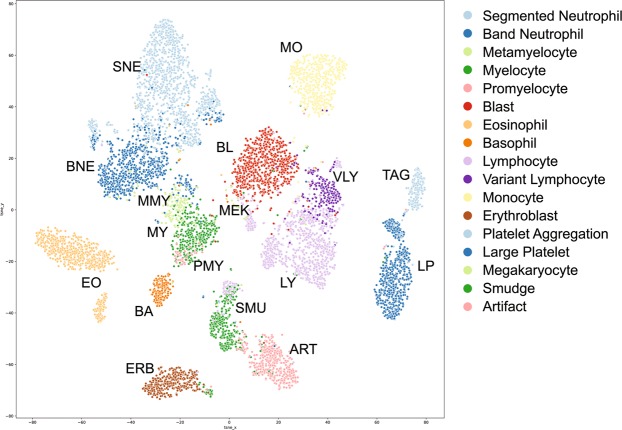A novel automated image analysis system using deep convolutional neural ...