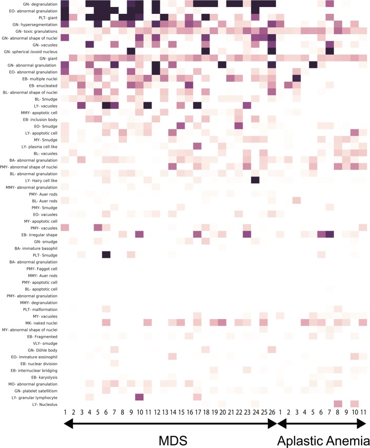 A novel automated image analysis system using deep convolutional neural networks can assist to ...