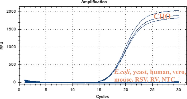 Development and Validation of Quantitative Real-Time PCR for the Detection of Residual CHO Host ...