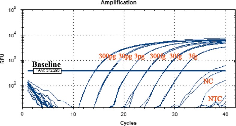 Development and Validation of Quantitative Real-Time PCR for the Detection of Residual CHO Host ...