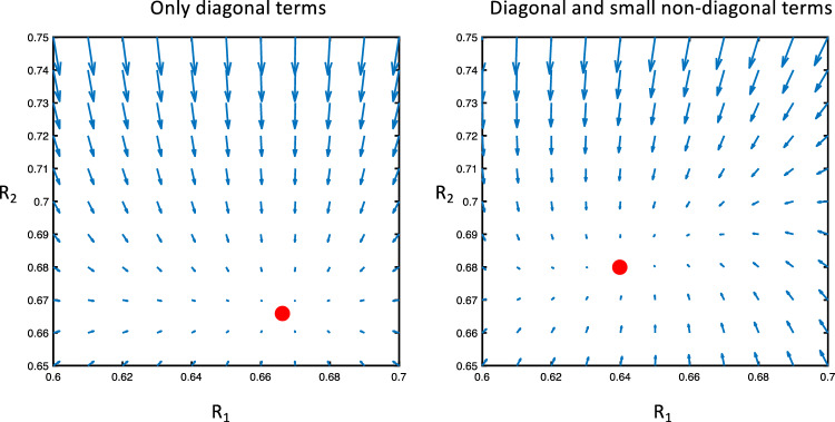 Modelling cortical network dynamics - PMC