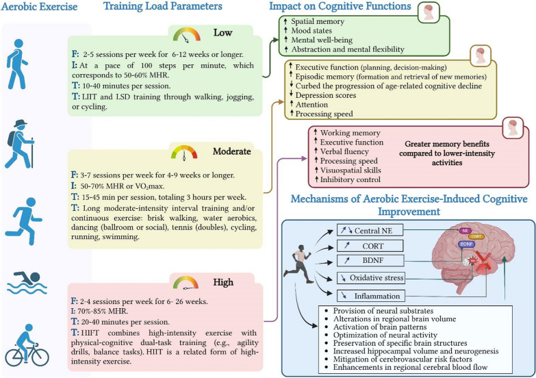 Physical Activity to Counter Age-Related Cognitive Decline: Benefits of Aerobic, Resistance, and ...