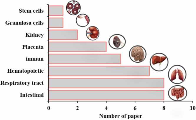 Micro- and nanoplastic toxicity in humans: Exposure pathways, cellular effects, and mitigation ...