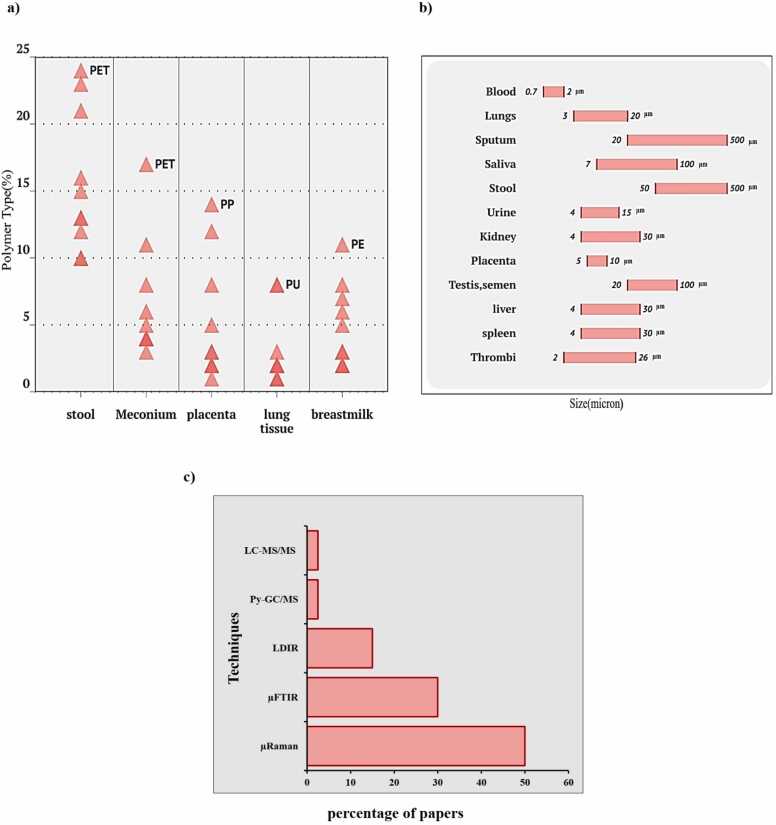 Micro- and nanoplastic toxicity in humans: Exposure pathways, cellular effects, and mitigation ...