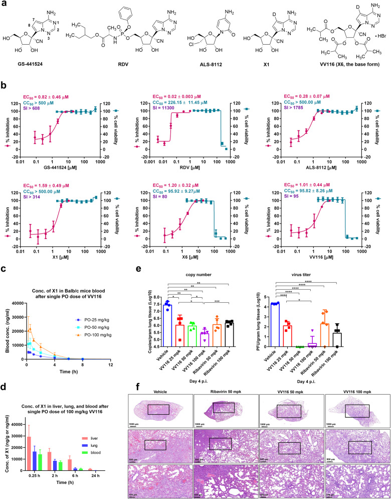 Oral remdesivir derivative VV116 is a potent inhibitor of respiratory syncytial virus with ...