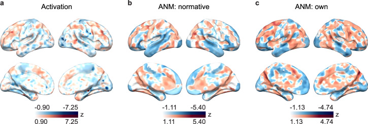 Heterogenous brain activations across individuals localize to a common network - PMC