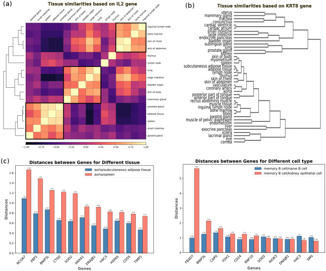 Multimodal Learning for Mapping the Genotype-Phenotype Dynamics - PMC