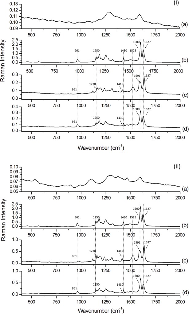 Development of a technique for psyllium husk mucilage purification with simultaneous ...