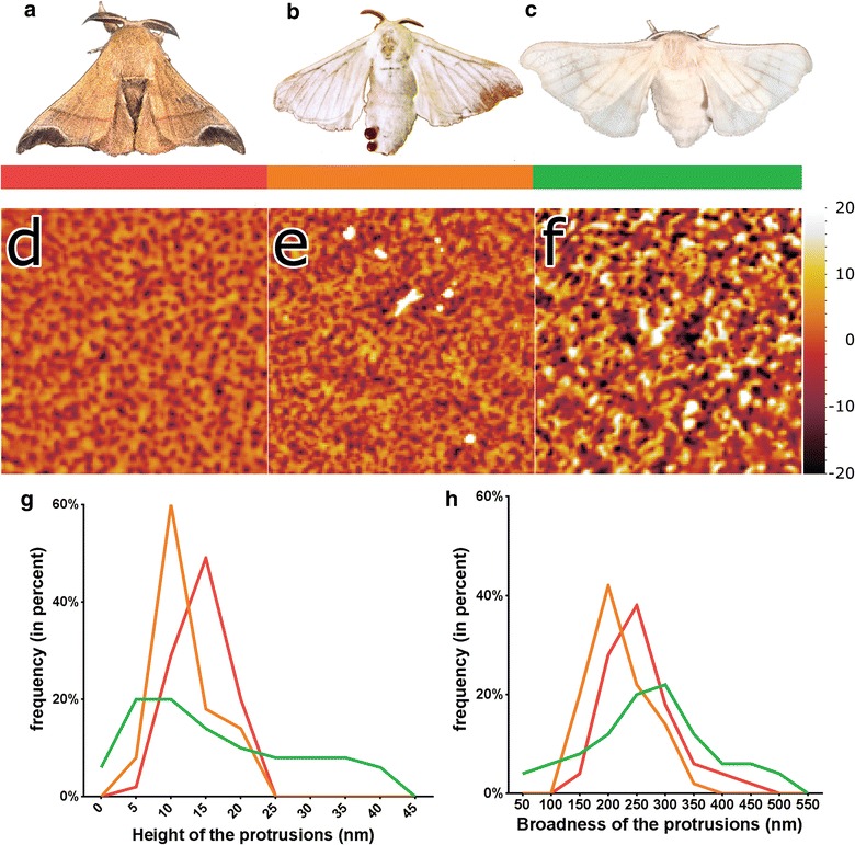 Alternative moth-eye nanostructures: antireflective properties and composition of dimpled ...