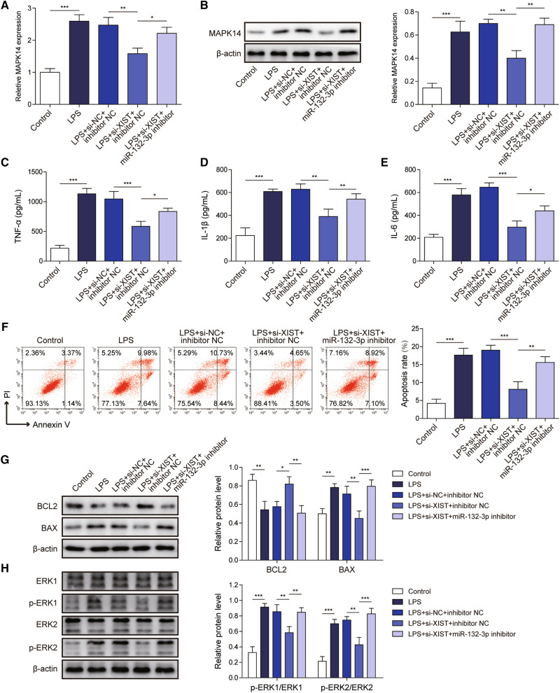 LncRNA XIST knockdown alleviates LPS-induced acute lung injury by ...