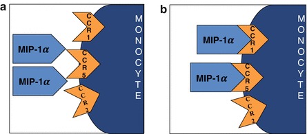 Macrophage Inflammatory Protein-1 Alpha (MIP-1 alpha)/CCL3: As a Biomarker - PMC