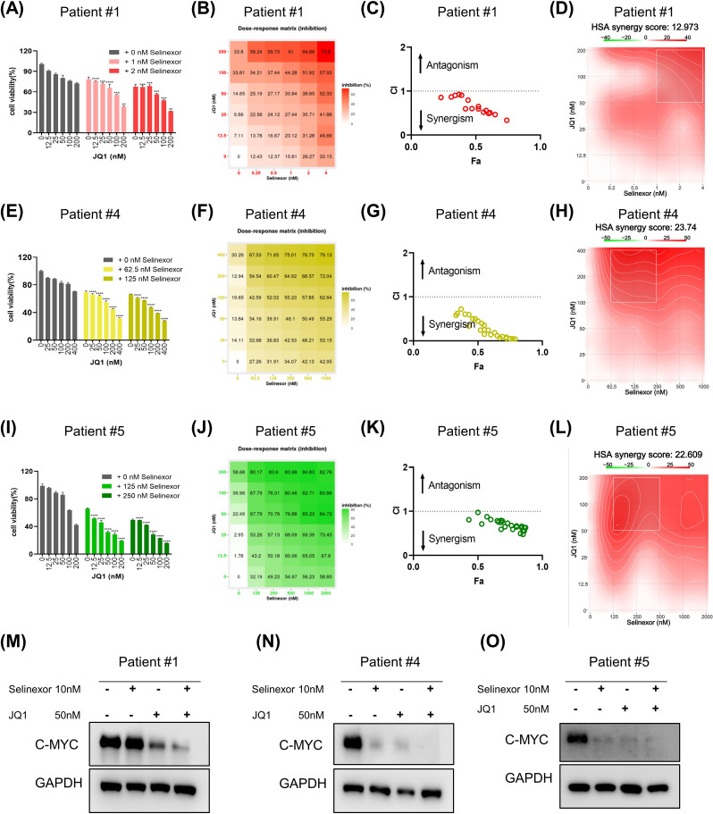 Innovative evaluation of selinexor and JQ1 synergy in leukemia therapy via C-MYC inhibition - PMC