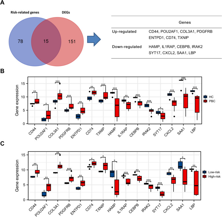 Integrative bioinformatics analysis and experimental validation of key biomarkers for risk ...