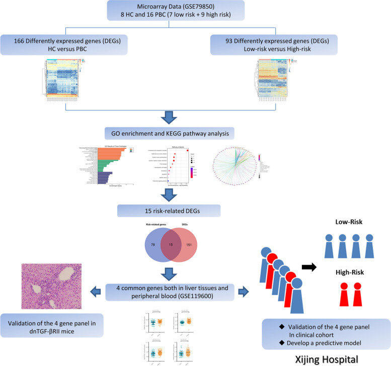 Integrative bioinformatics analysis and experimental validation of key biomarkers for risk ...