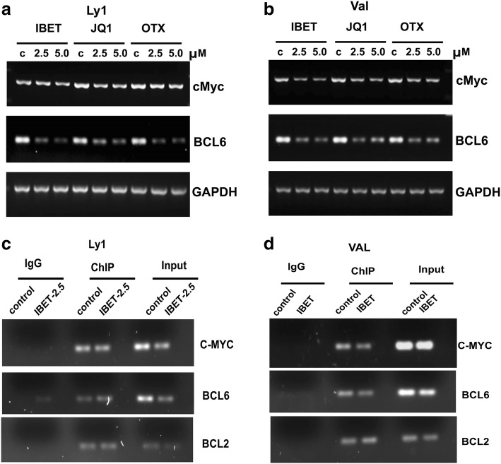 Targeting MYC activity in double-hit lymphoma with MYC and BCL2 and/or BCL6 rearrangements with ...