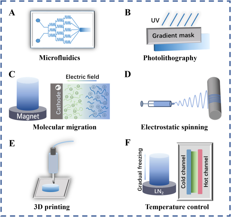 Gradient scaffolds in bone-soft tissue interface engineering: Structural characteristics ...