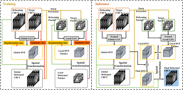 Inter-fraction deformable image registration using unsupervised deep learning for CBCT-guided ...