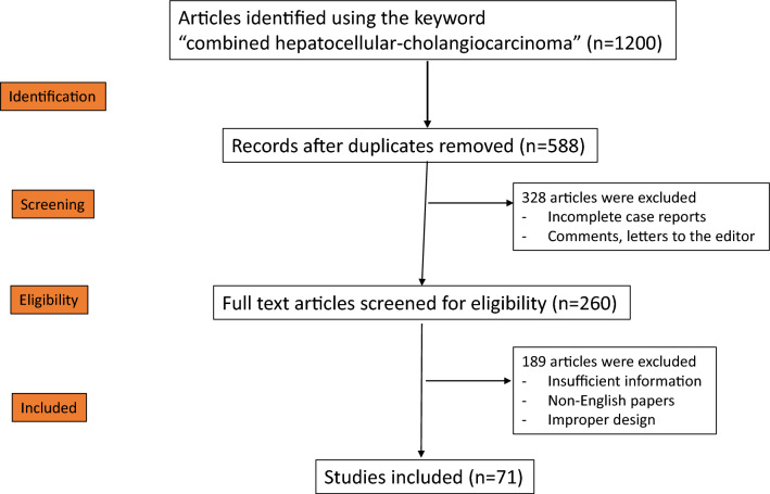 Combined hepatocellular-cholangiocarcinoma: from genesis to molecular pathways and therapeutic ...