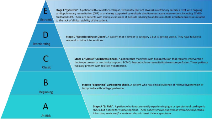 Cannulation strategies for extracorporeal membrane oxygenation - PMC