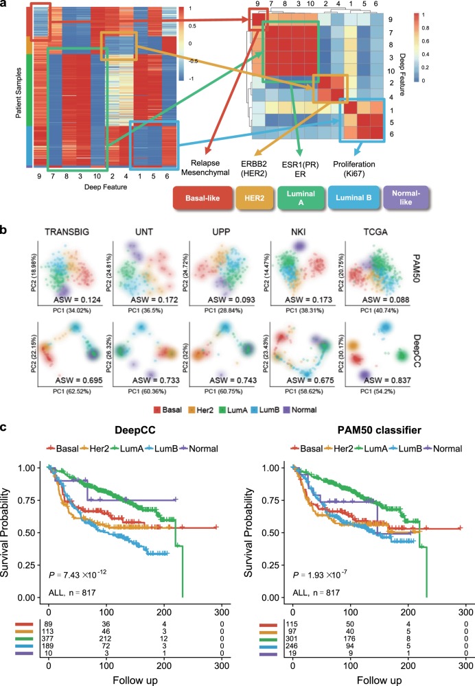 DeepCC: a novel deep learning-based framework for cancer molecular ...
