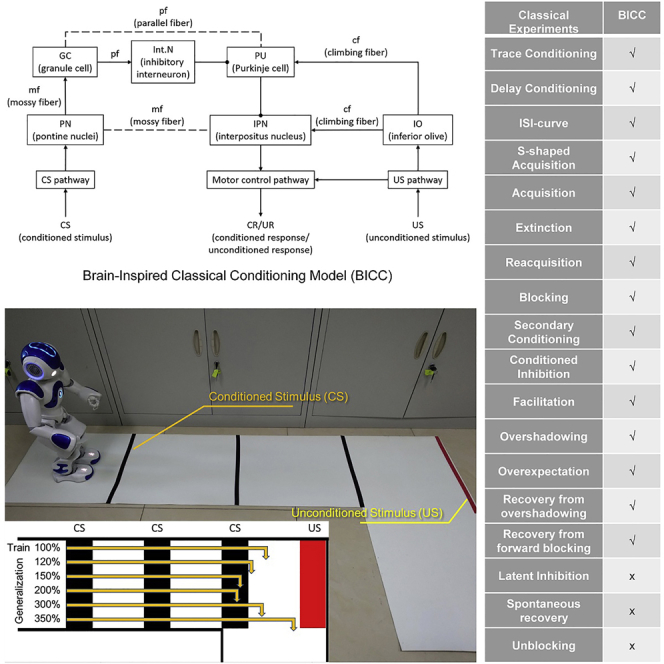 Brain-inspired classical conditioning model - PMC