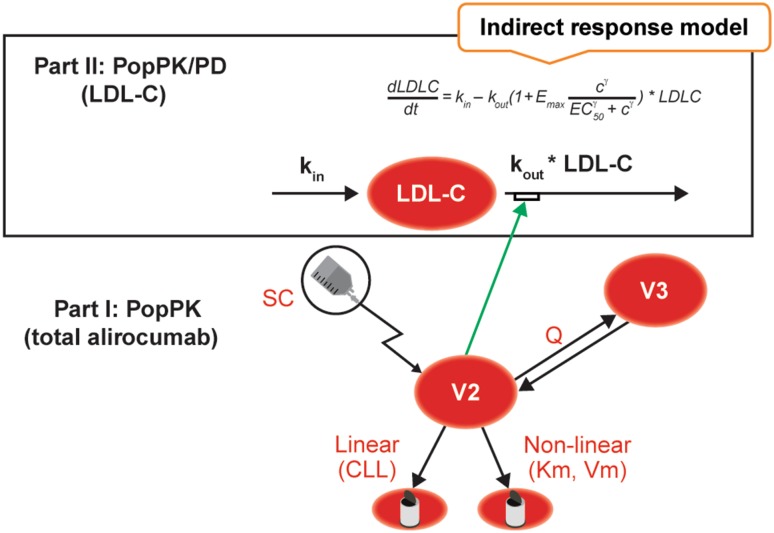 Population Pharmacokinetic/Pharmacodynamic Analysis of Alirocumab in Healthy Volunteers or ...