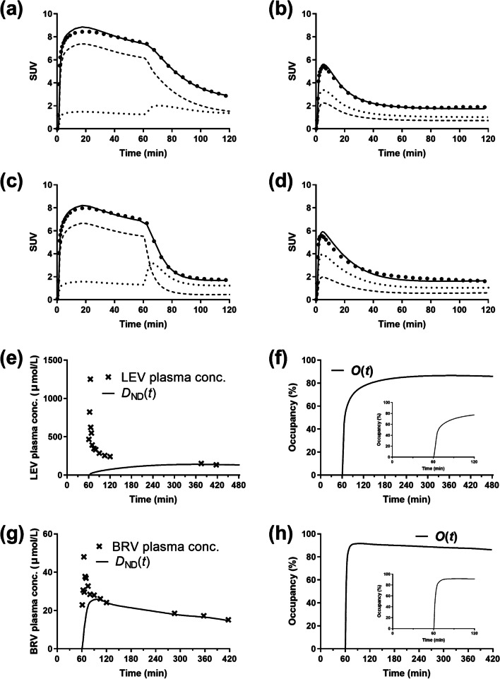 Drug characteristics derived from kinetic modeling: combined 11C-UCB-J human PET imaging with ...