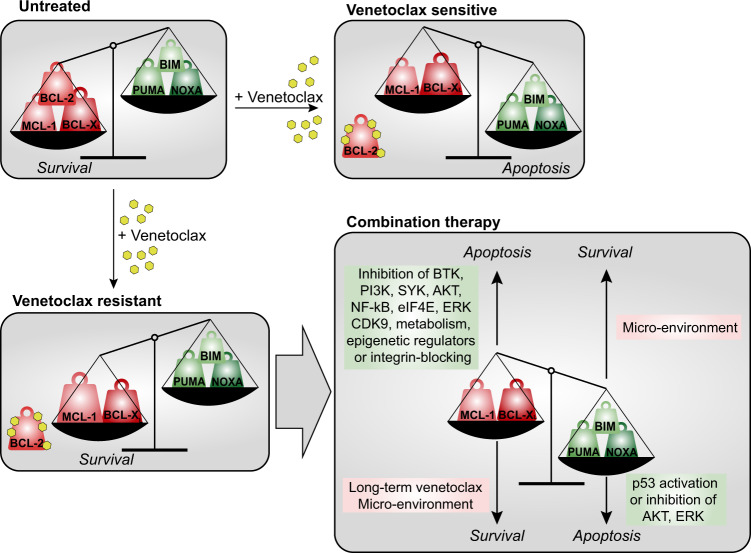 Tipping the balance: toward rational combination therapies to overcome venetoclax resistance in ...
